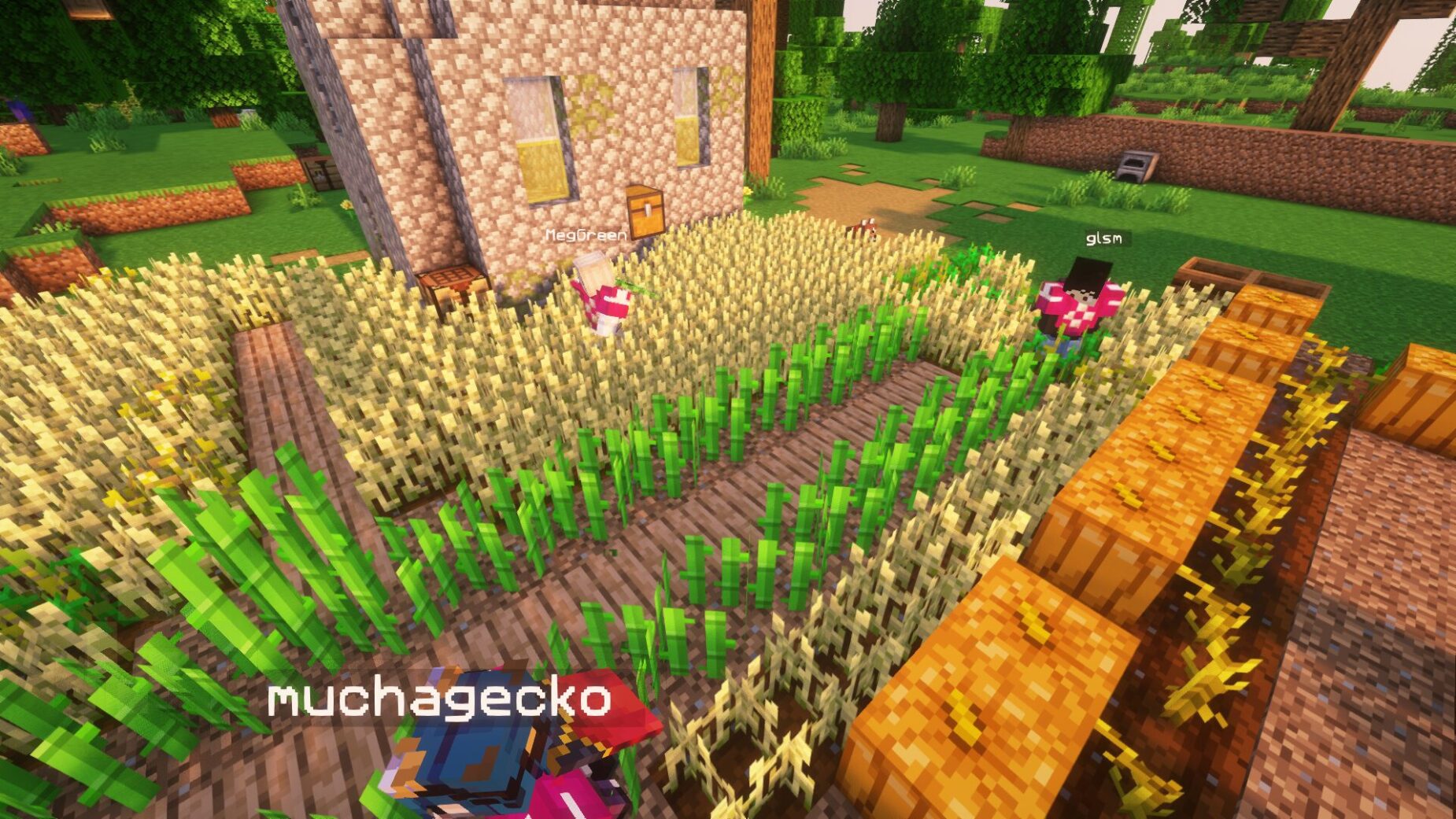 TogetherCraft: the adult Minecraft server for players who want a proper long term home ...